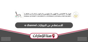 الاستعلام عن الجوازات e channel في الإمارات - هنا الإمارات